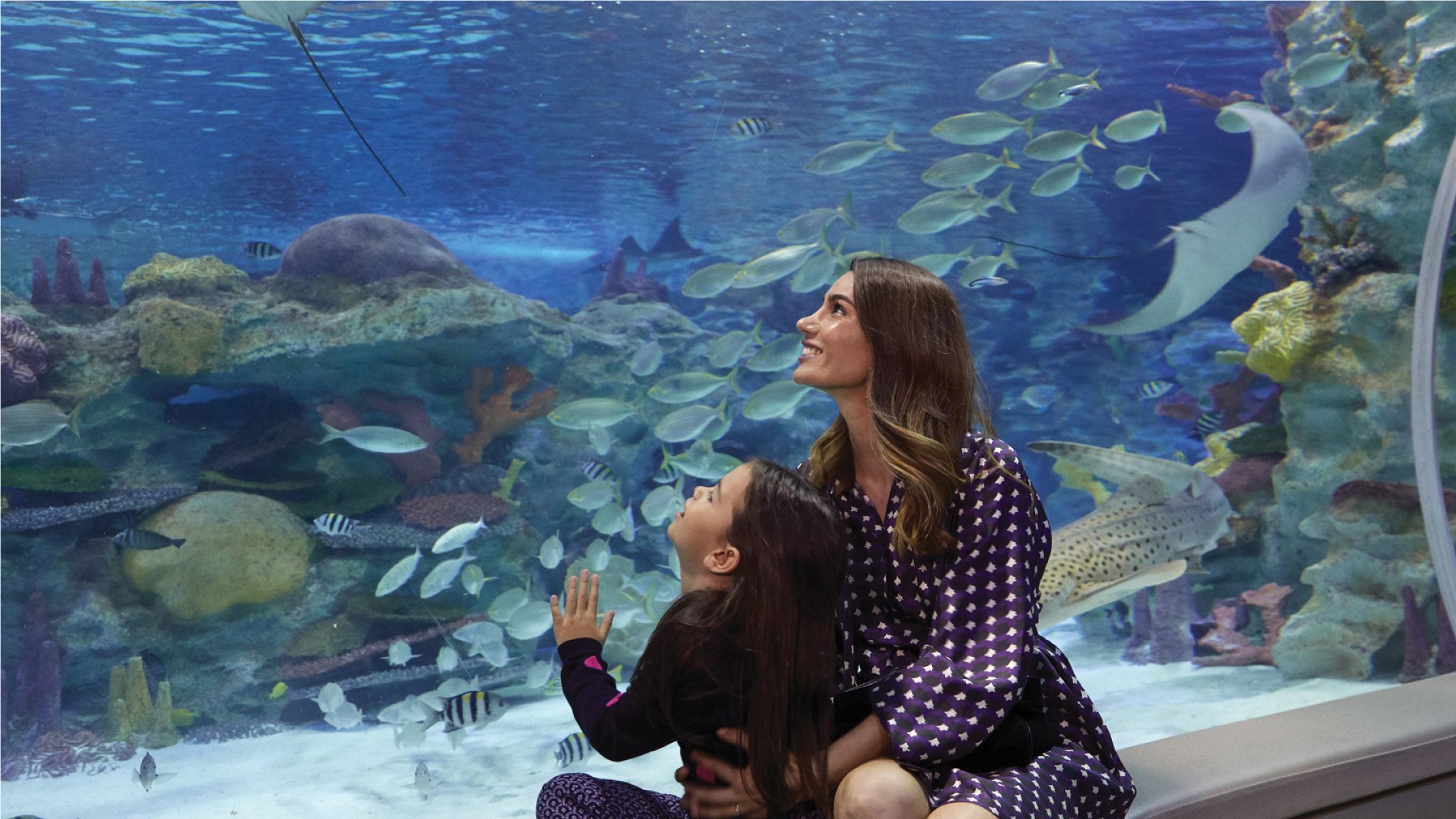 6 Amazing Zoos and Aquariums in Istanbul - Turkey Visa Online